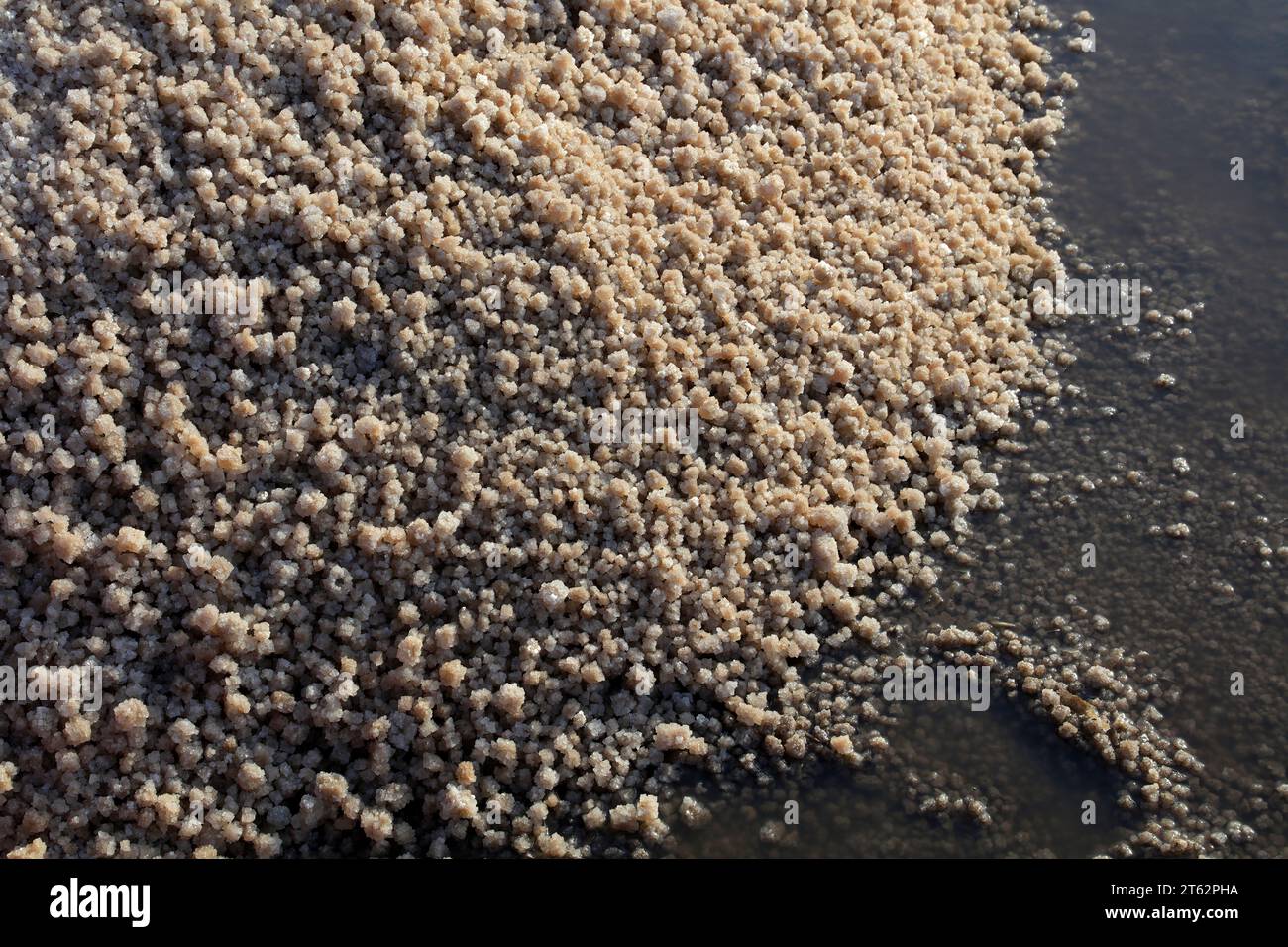 Salt crystal particles Stock Photo - Alamy