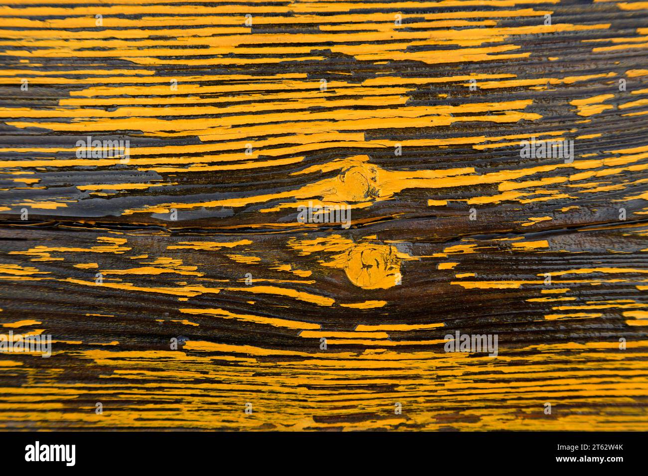 Wet wood texture Stock Photo - Alamy