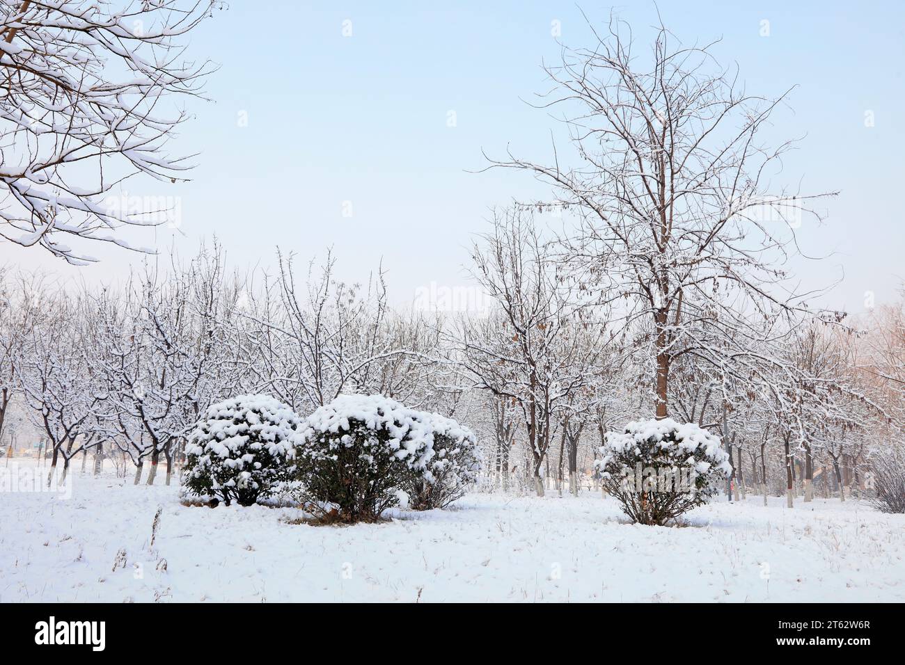 Winter scenery of northern China Stock Photo - Alamy