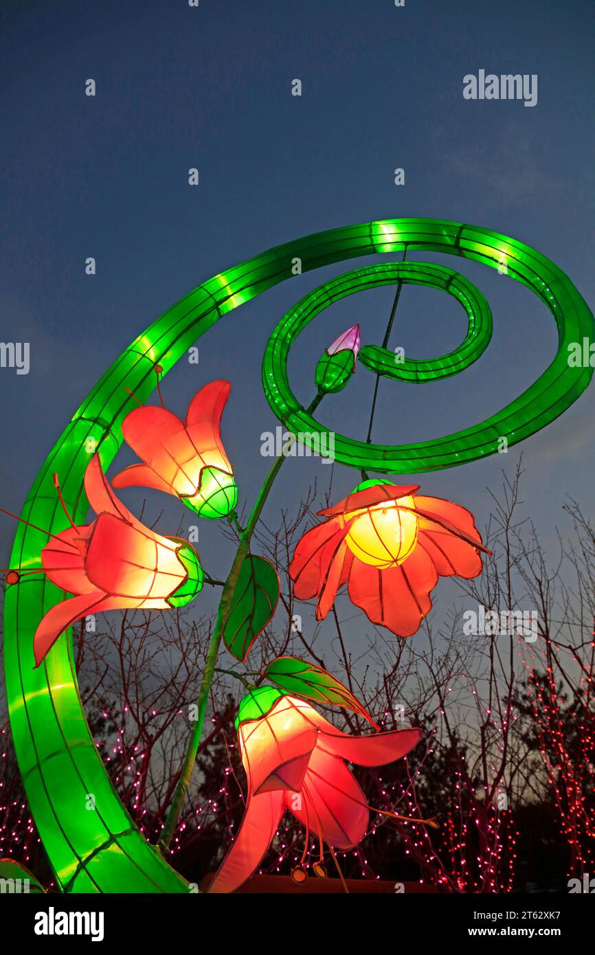 Flowers and plants shape lantern Stock Photo - Alamy