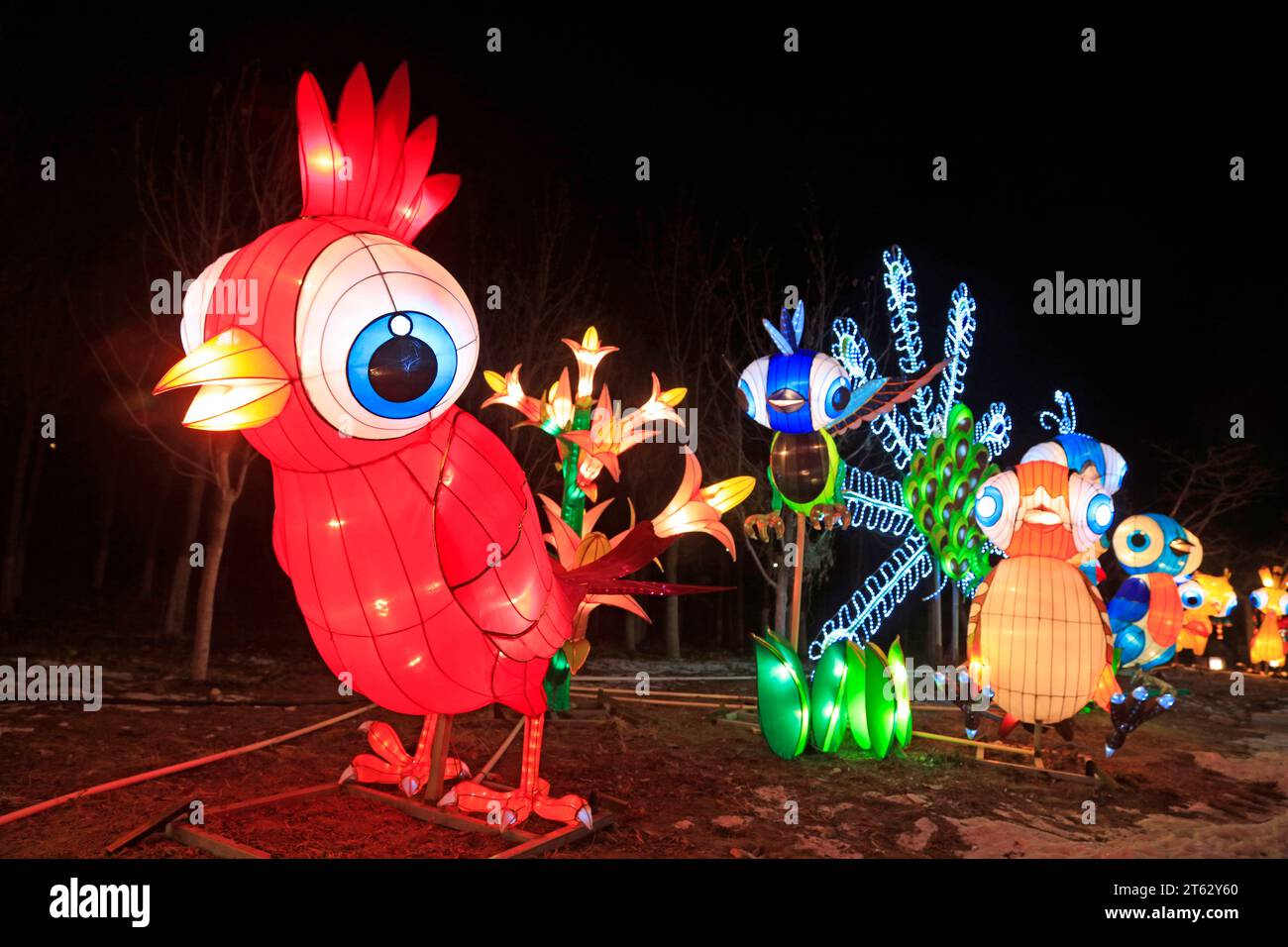 Chinese lantern festival birds hi-res stock photography and images - Alamy