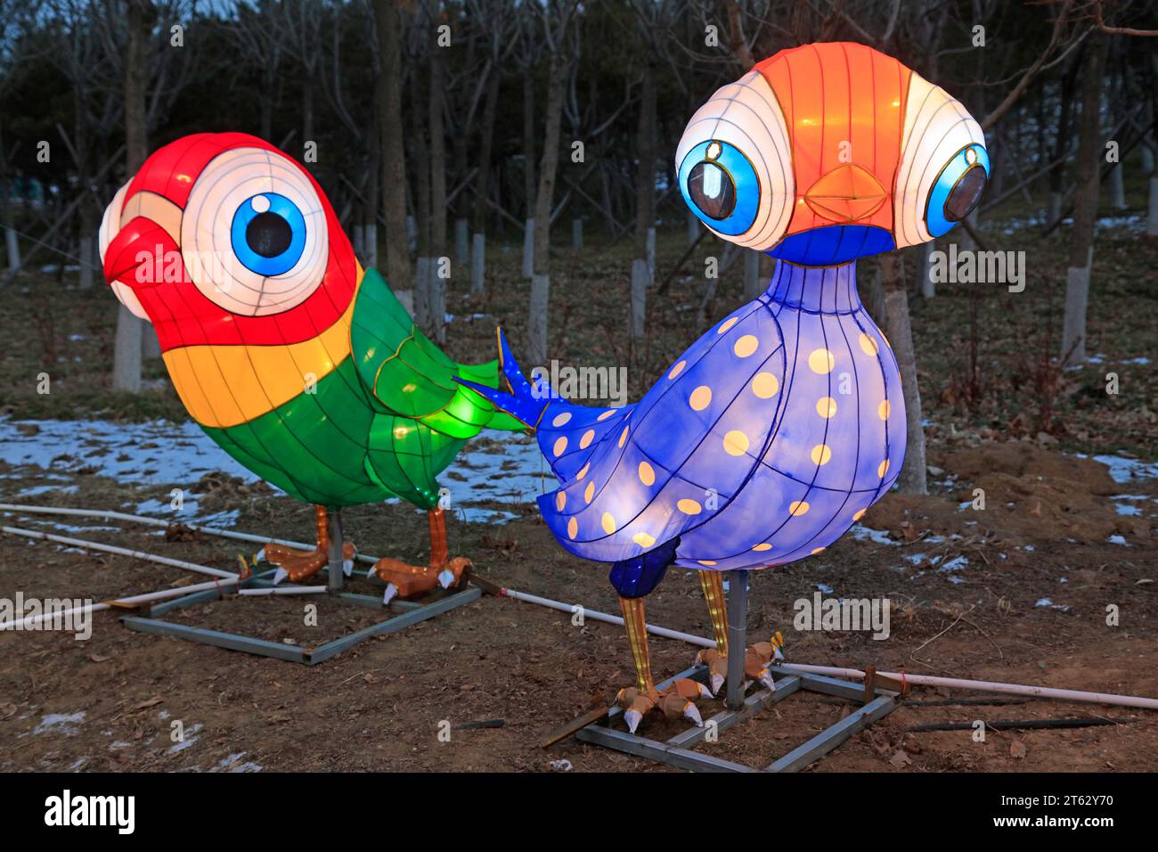 Chinese lantern festival birds hi-res stock photography and images - Alamy