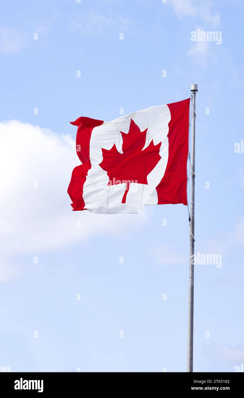Canadian flag. The national flag of Canada flying from a flagpole mast ...