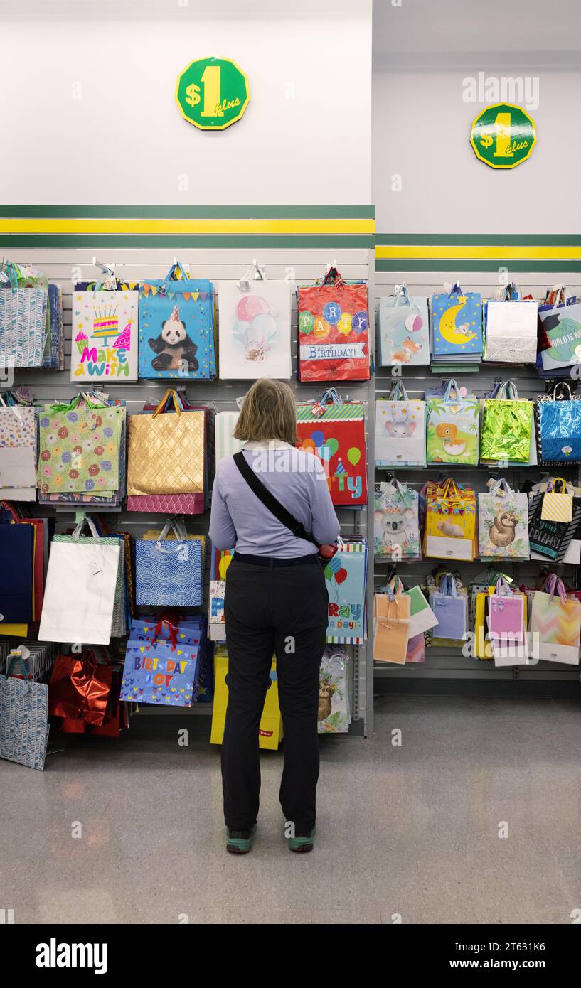 Dollarama store Canada, interior. People shopping inside a low cost ...