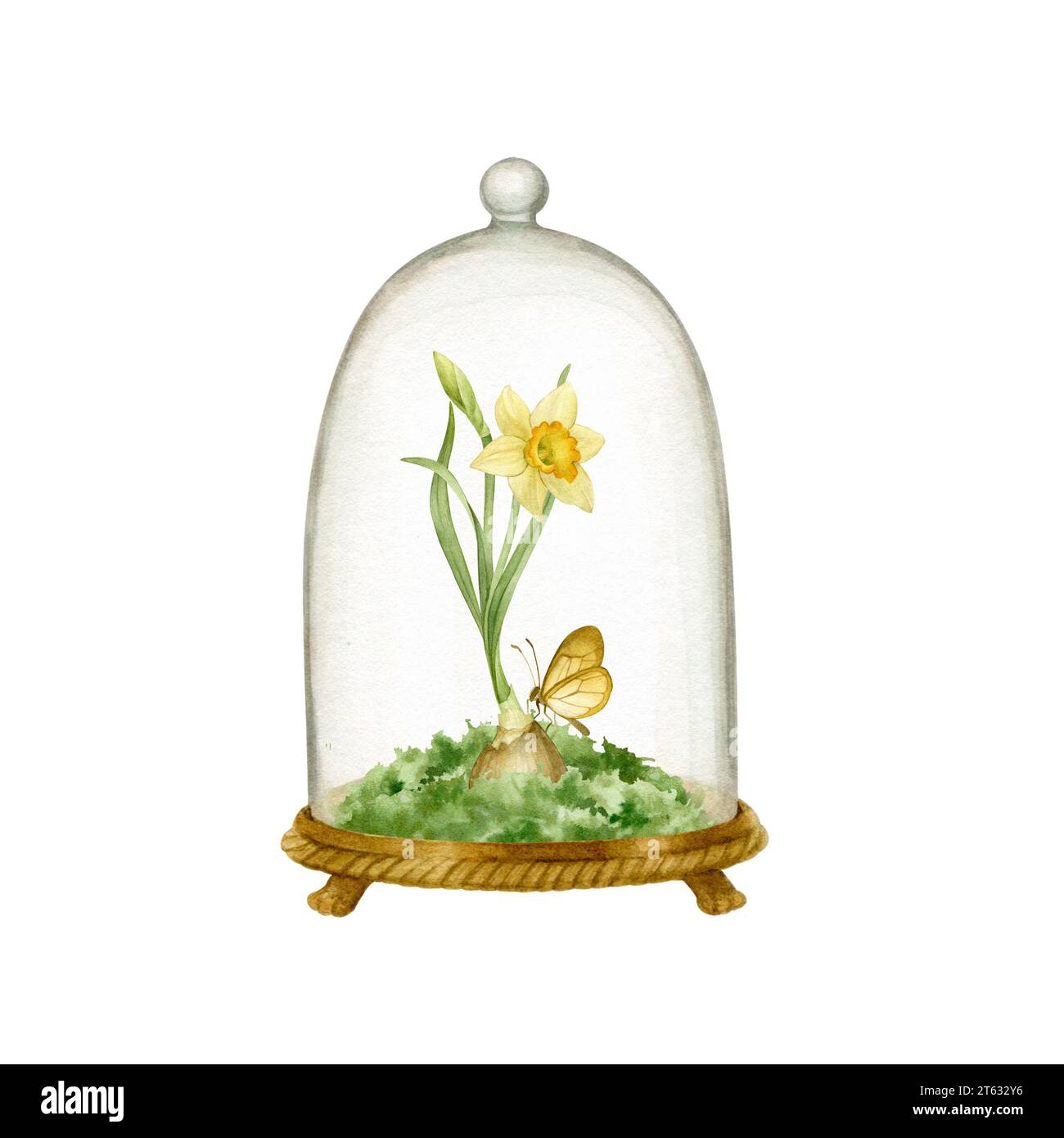 Cloche isolated decorative hi-res stock photography and images - Alamy