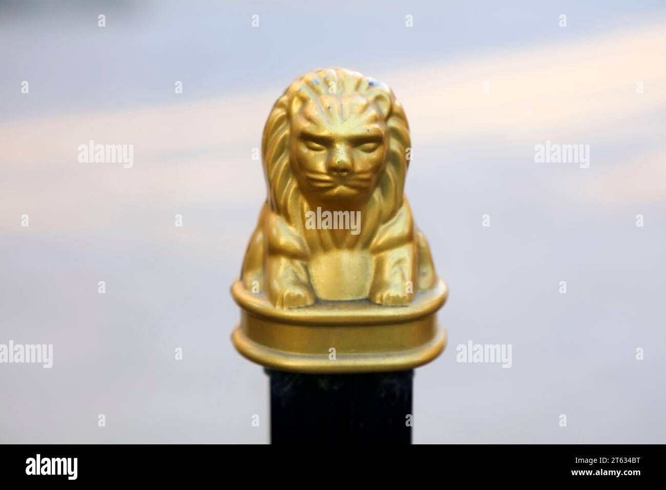 Metal lion ornaments Stock Photo - Alamy