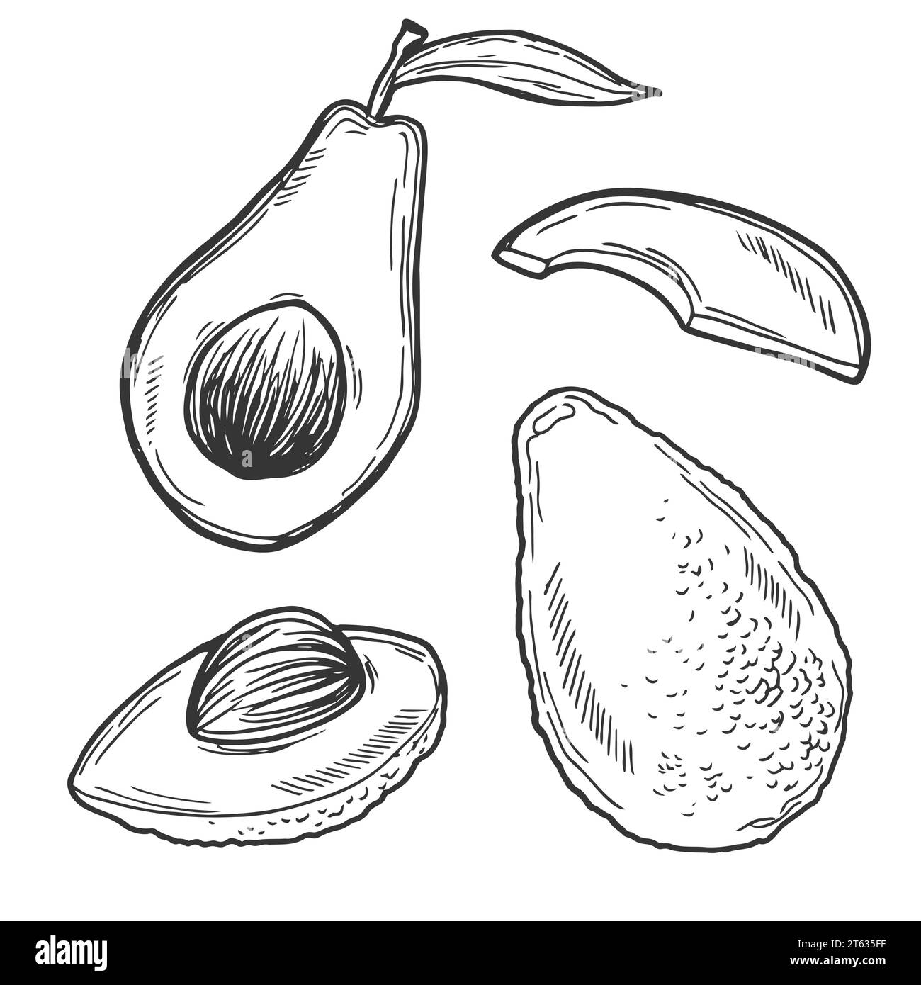 Avocado black outline art set Stock Vector Image & Art - Alamy