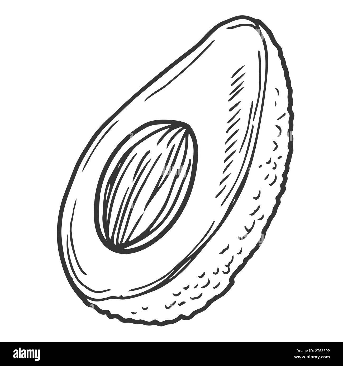 Half avocado vector icon. Hand drawn sketch of summer tropical fruit ...