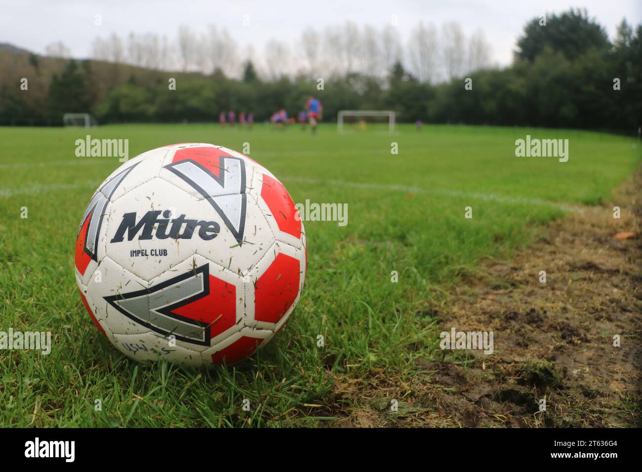 Side on the pitch hi-res stock photography and images - Alamy