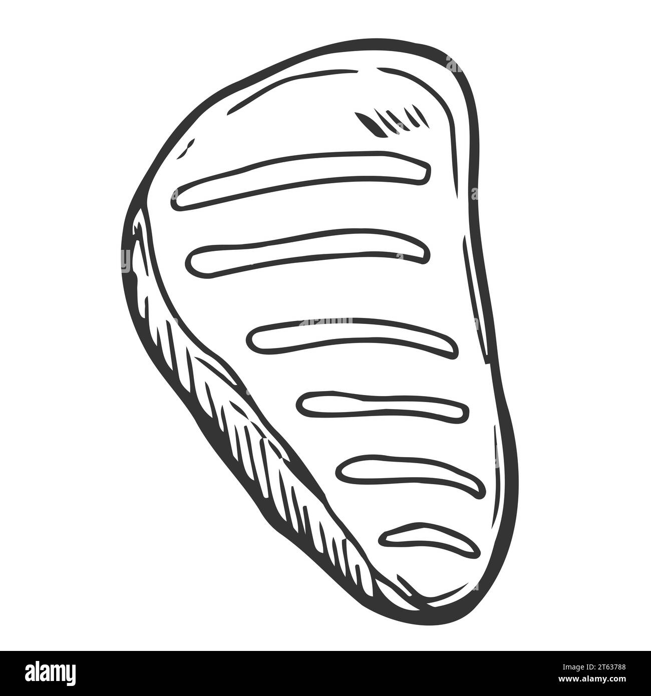 sketch hand drawn Grilled meat steak with sauce and rosemary vector ...