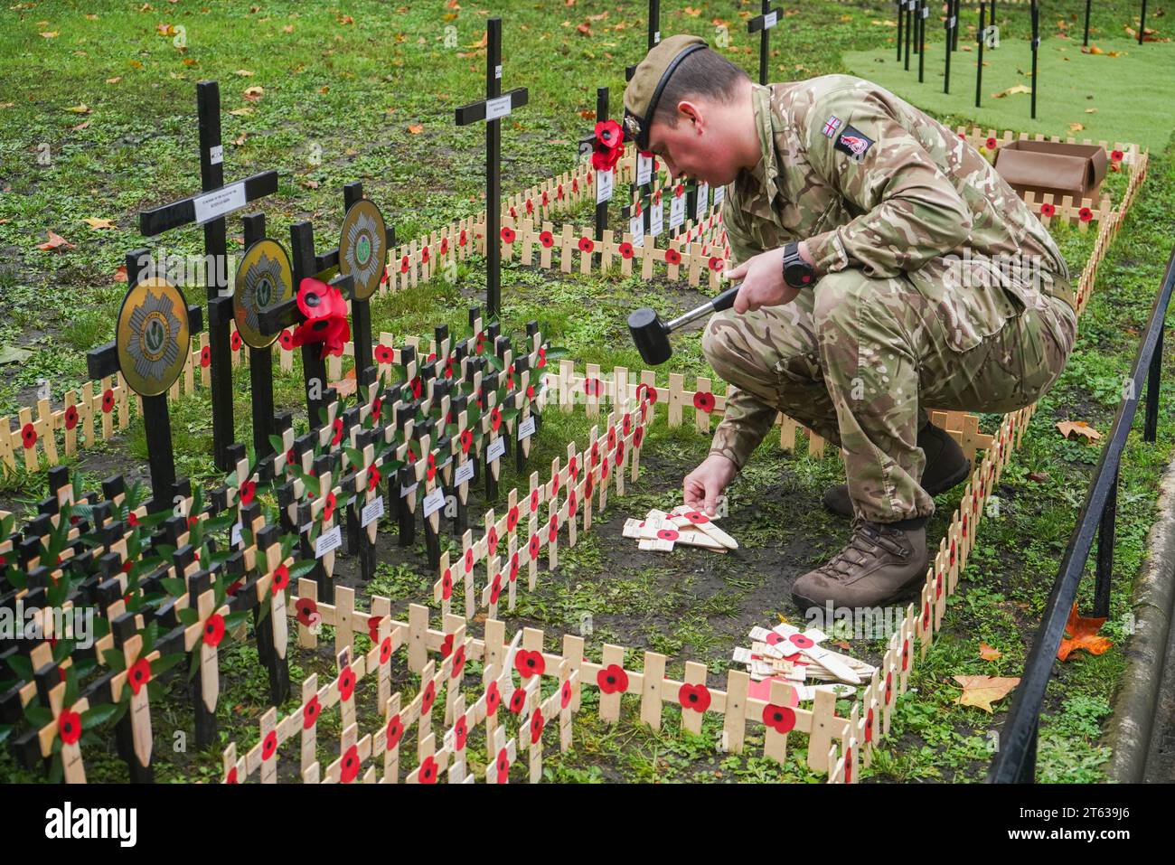 London, UK. 8 November 2023. A member of the Scots Guards plants ...