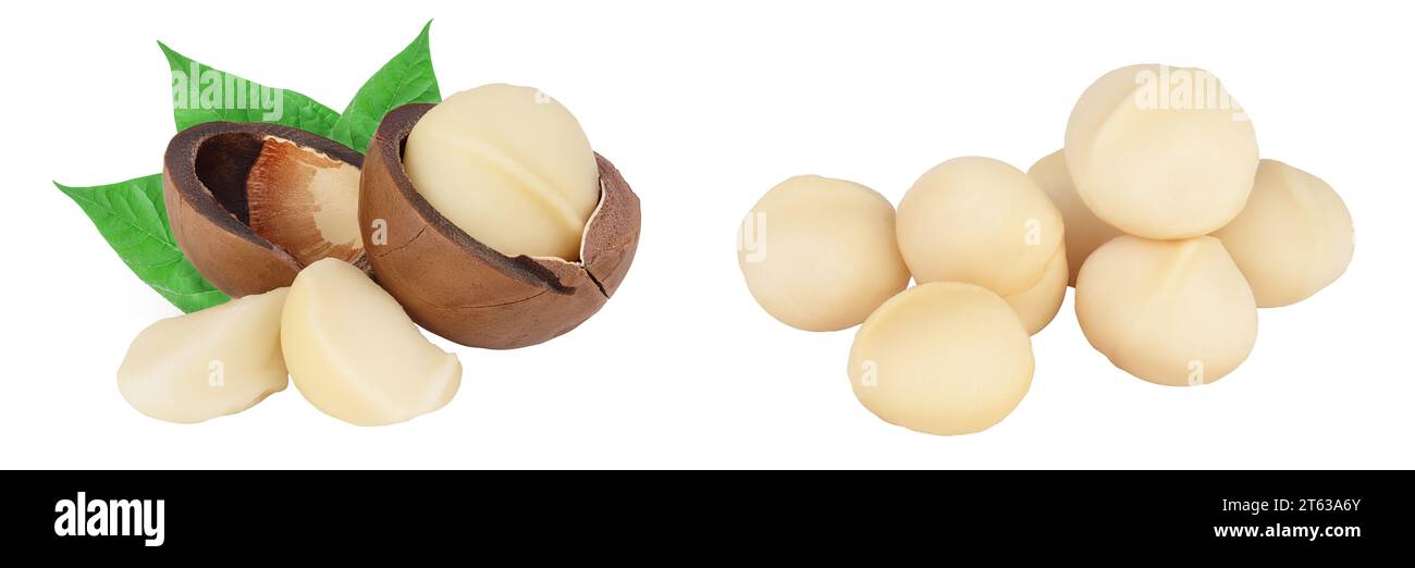 macadamia nuts isolated on white background with full depth of field ...