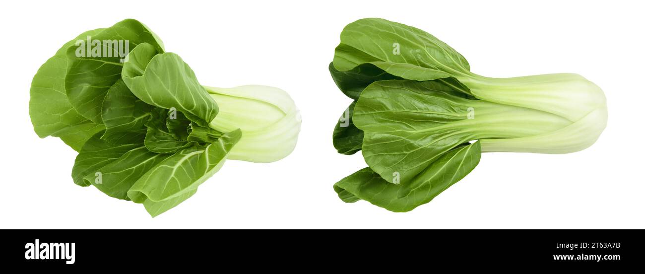 Fresh pak choi cabbage isolated on white background with full depth of ...