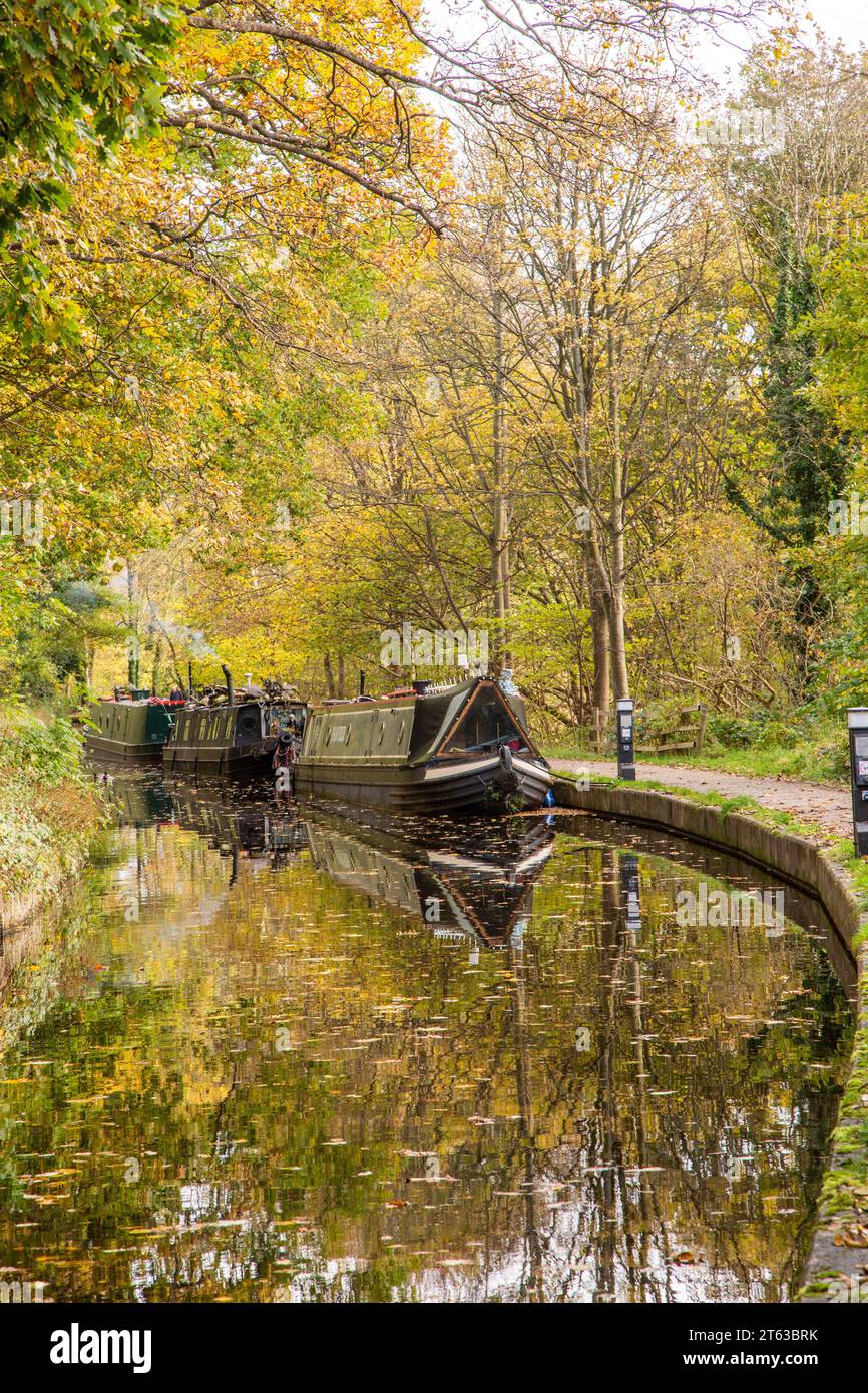 Narrowboats on the 46 mile long Llangollen branch of the Shropshire ...