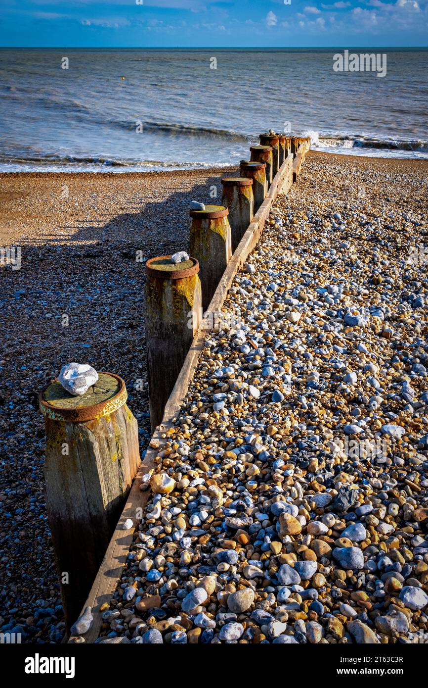Row of groyne piles with a stone placed on the top of them. Also ...