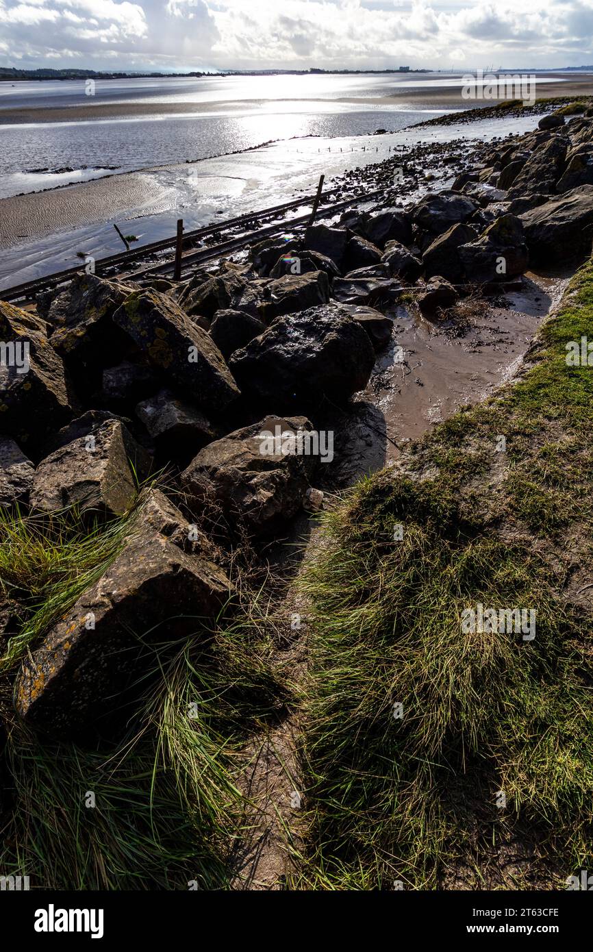 Severn trow hi-res stock photography and images - Alamy