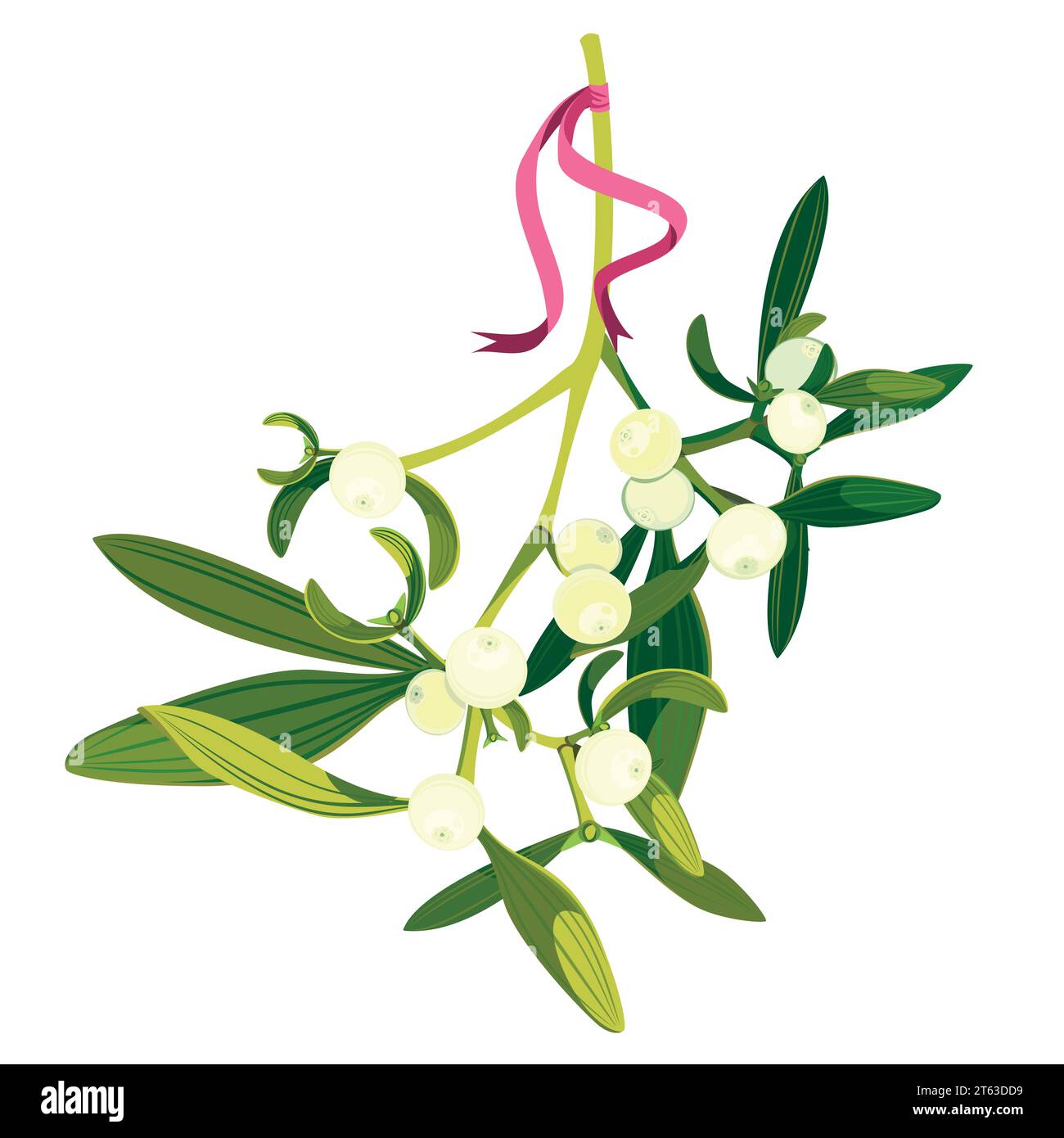 Christmas composition mistletoe branches Stock Vector Images - Alamy