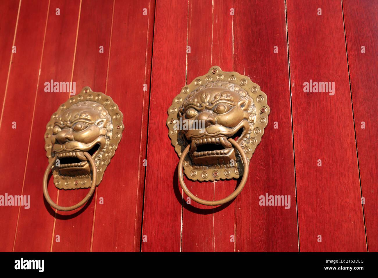 metal beast head knocker Stock Photo - Alamy