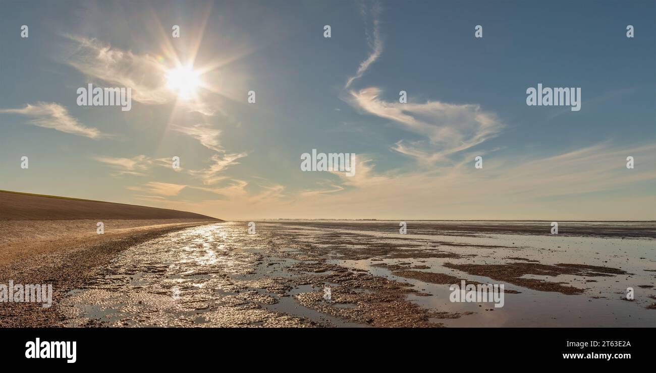 Panoramic view of the Dutch Wadden Sea with low tide in Friesland, The ...