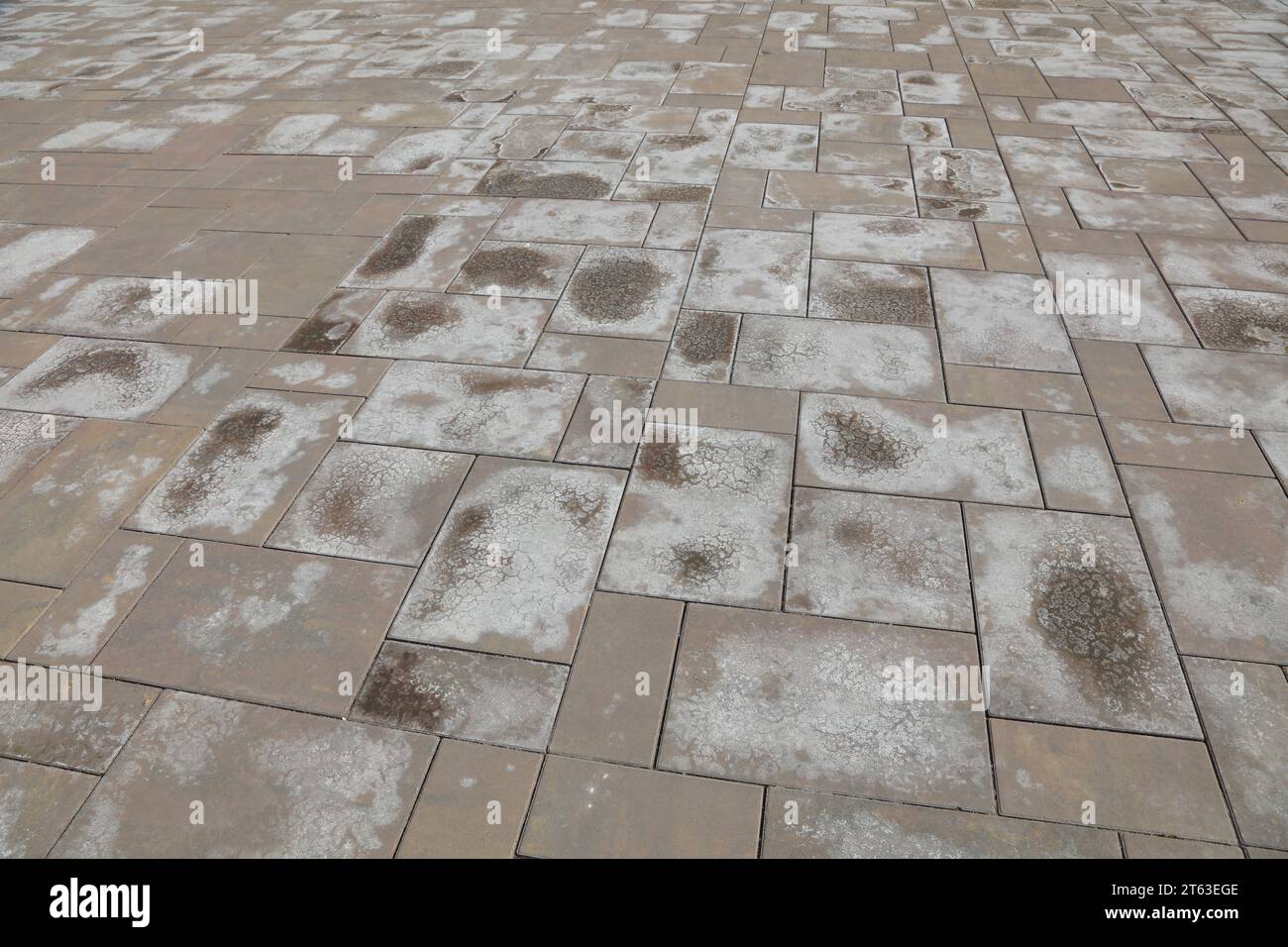 alkali stain on the cement floor tile Stock Photo - Alamy