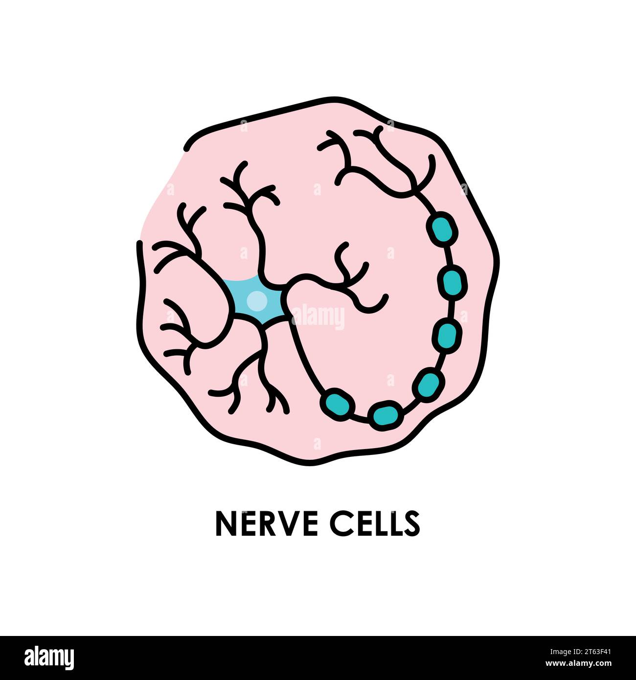 Brain neuron cell color line icon. Microorganisms microbes, bacteria ...