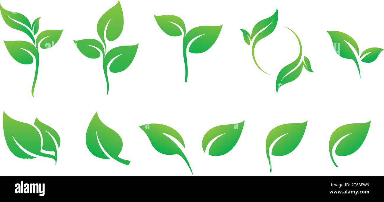 beautiful stylized lush green leaf and seedling plant set icon vector ...