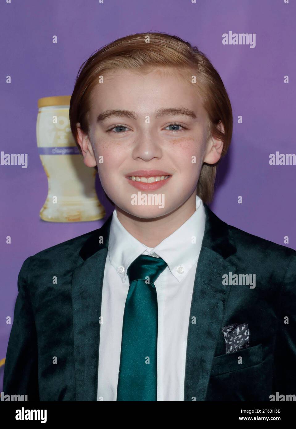 HOLLYWOOD, CA - NOVEMBER 7: Hudson Barry at the world premiere of Holiday Twist at the TCL ...