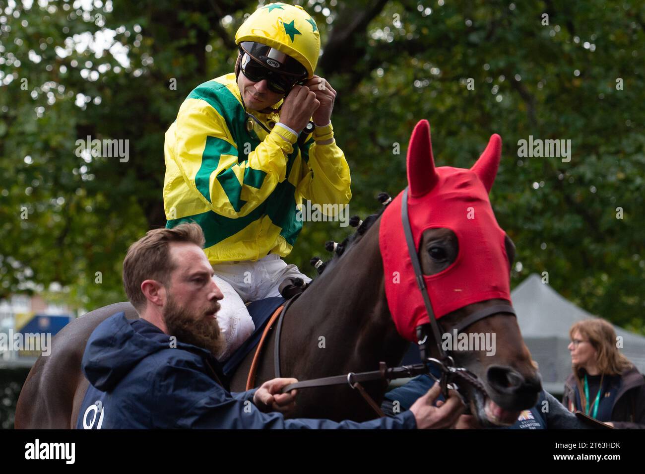 Horizon dore horse hi-res stock photography and images - Alamy