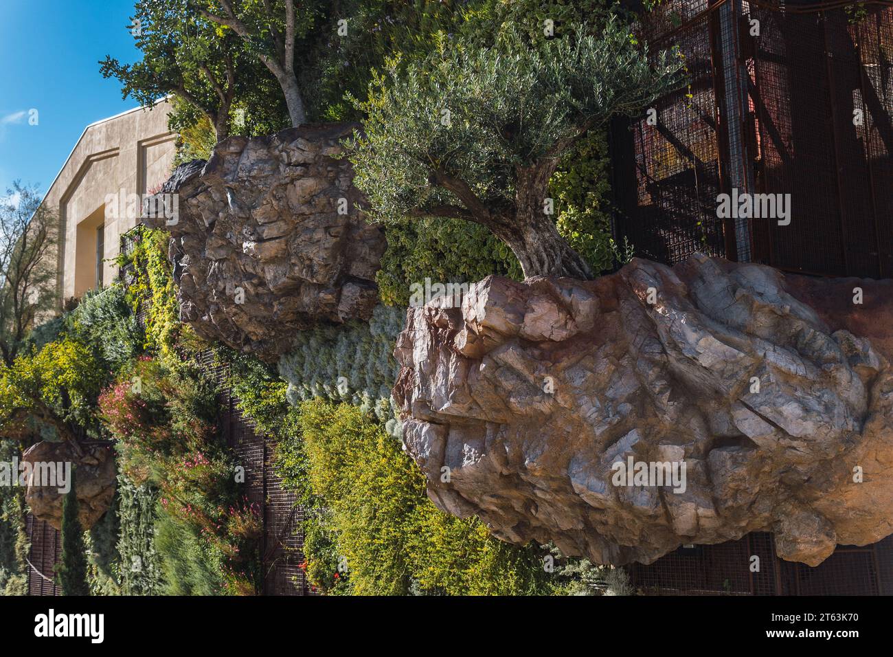 Detailed view of vertical garden with rock formations surrounded by a ...