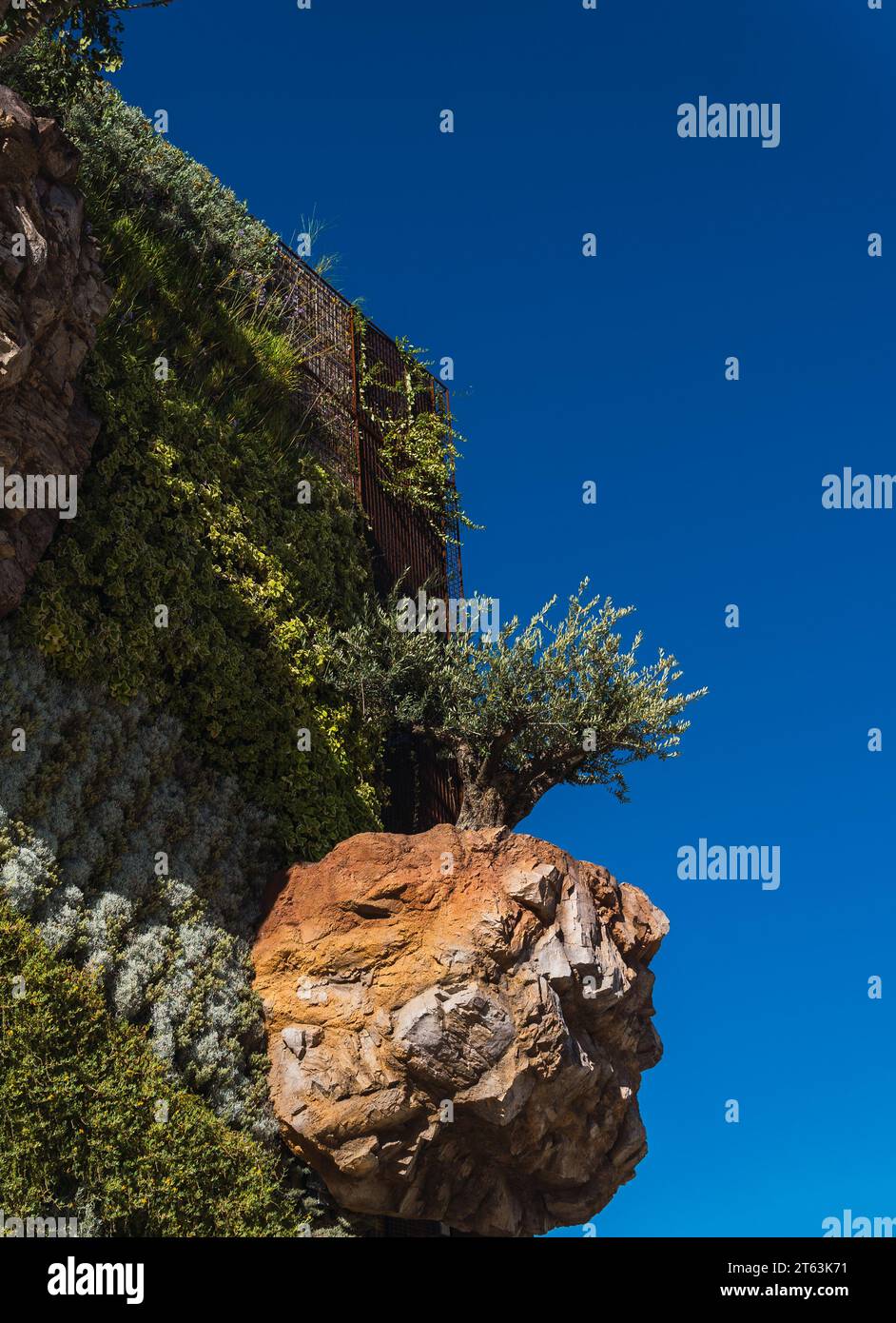 From below of vertical garden with large textured rock formation ...