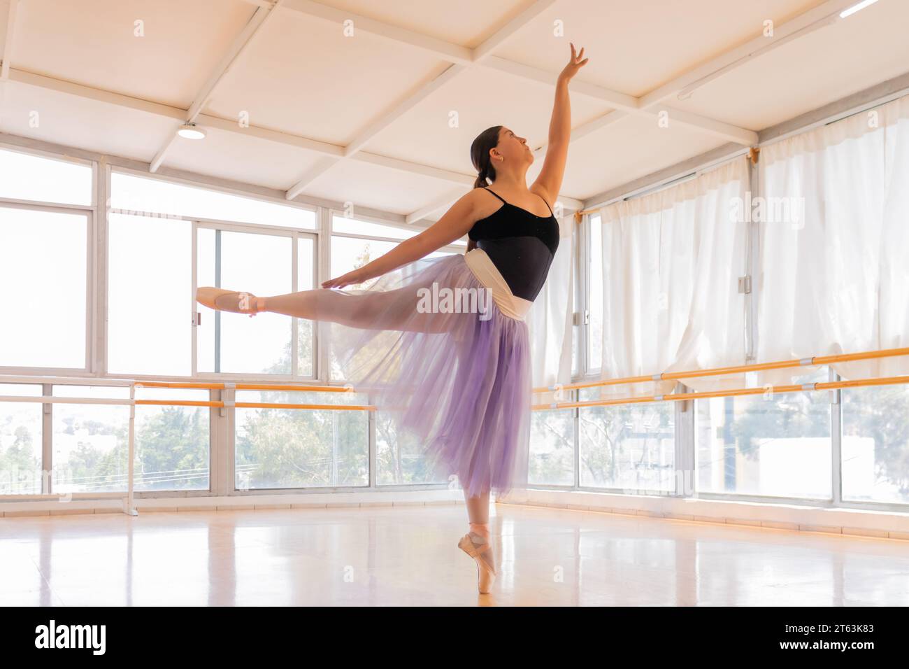 Elegant ballet dancer in a black leotard and flowing purple skirt ...