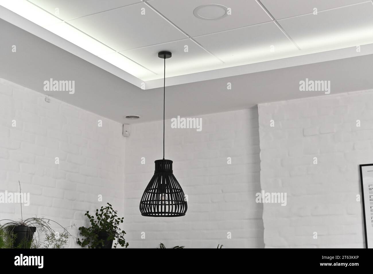 Lamps on long wires in front in a bright interior, elements of lighting ...