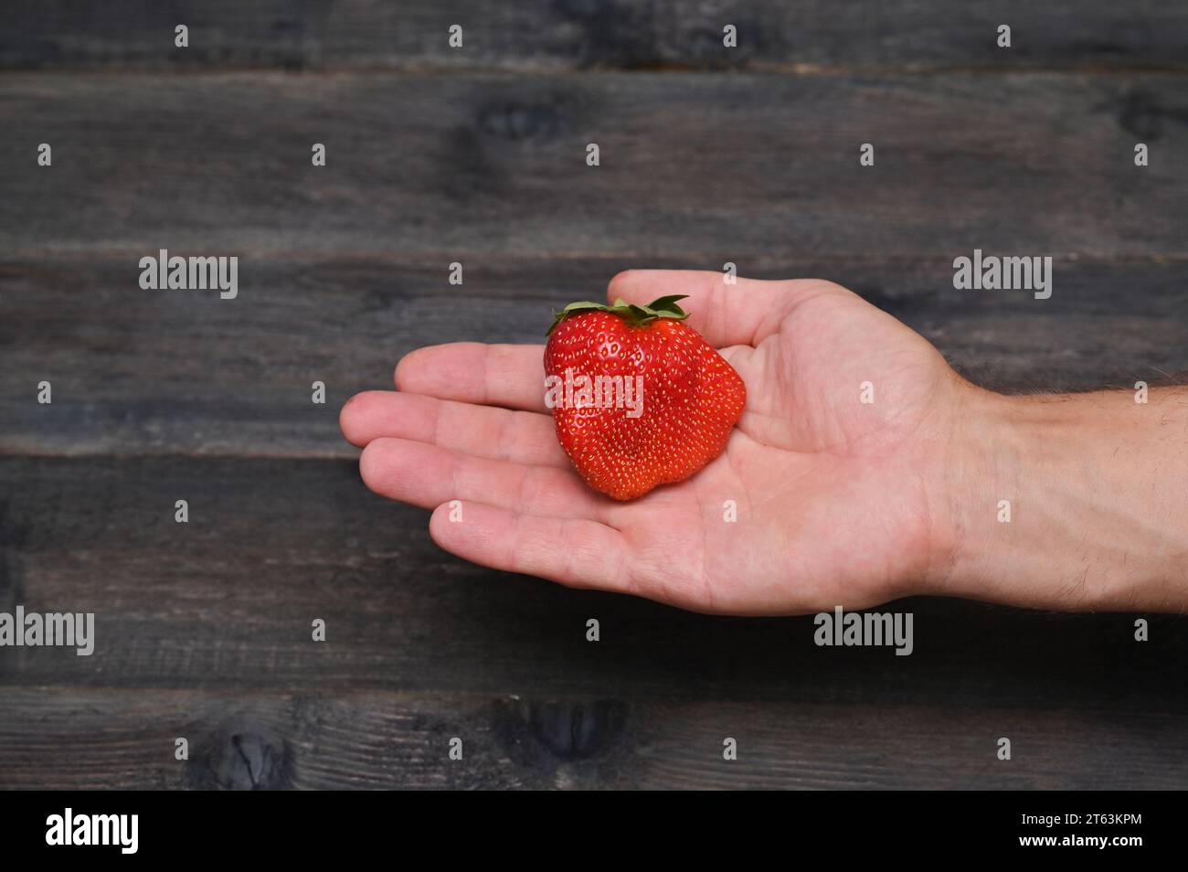one large strawberry in hand Stock Photo - Alamy