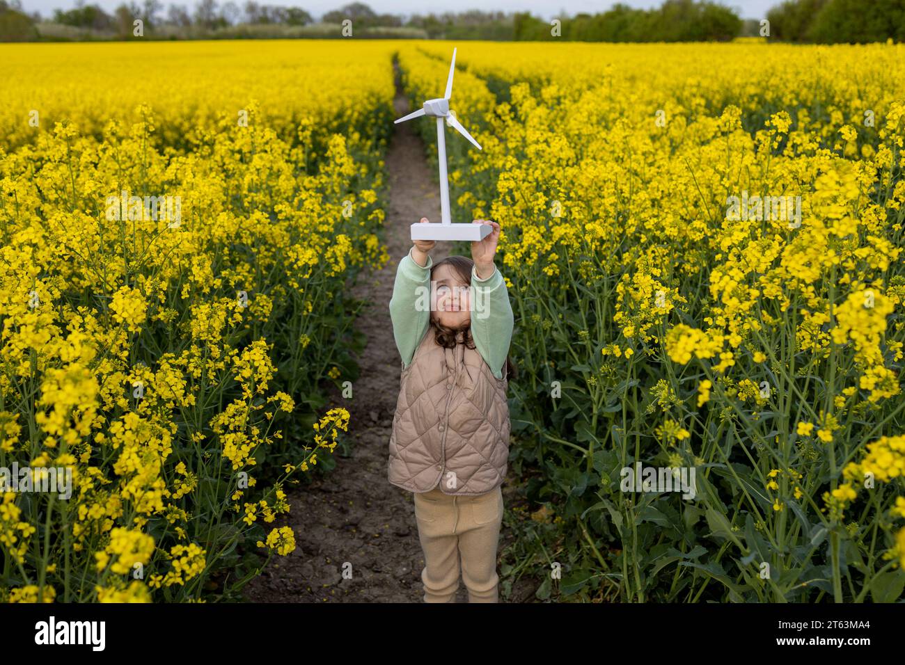 High-angle view of a young girl stands proudly in a yellow flower field ...