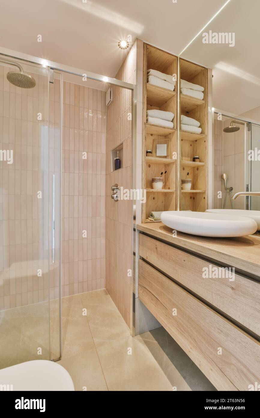 Sink and shower cabin in lavish bathroom of luxurious home with towel ...