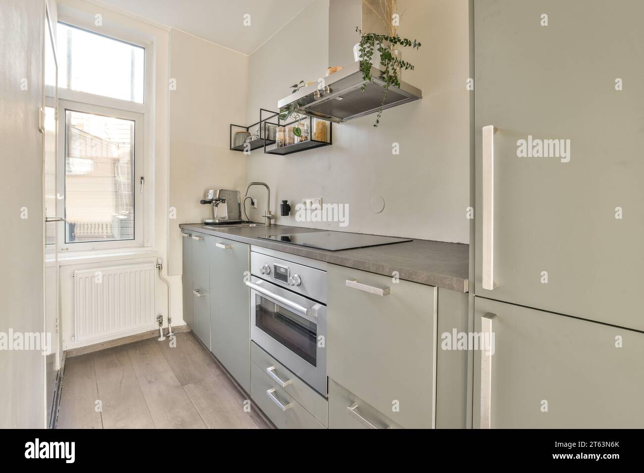 Rangehood over induction with microwave and cabinets in modern kitchen ...