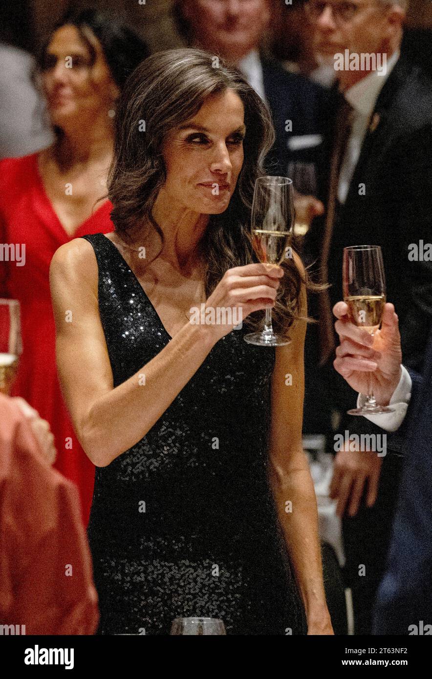 Kopenhagen 07-11-2023 Queen Letizia at the return arrangement of the ...