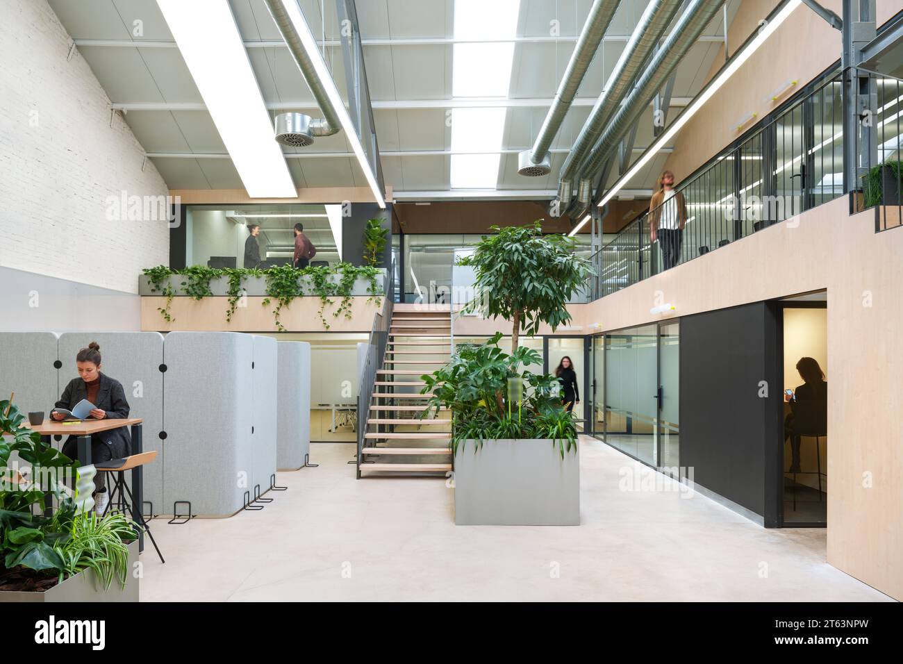 Elegant coworking office in Madrid Spain featuring a bright airy ...