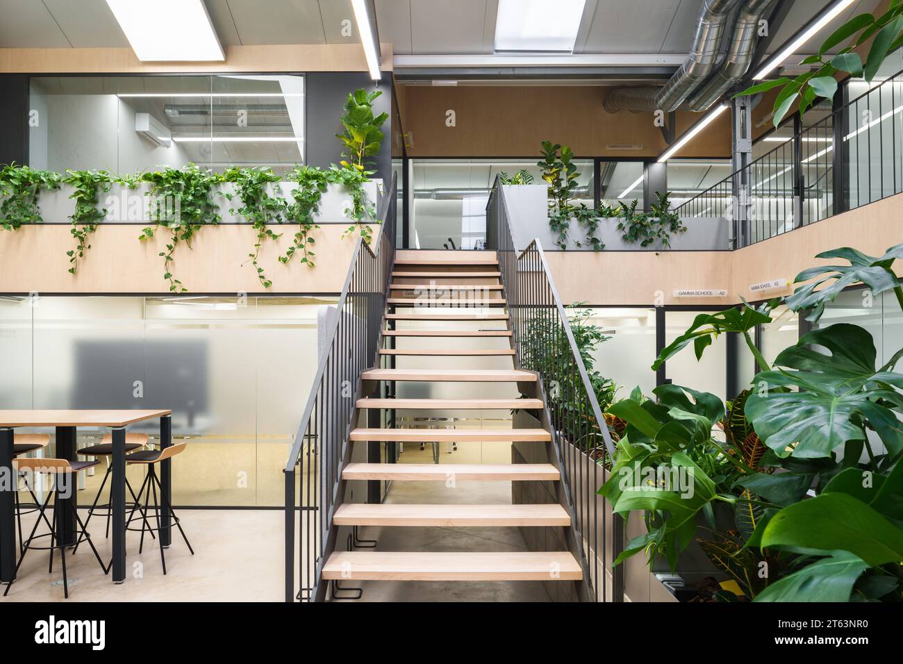 Elegant coworking office in Madrid Spain featuring a bright airy ...