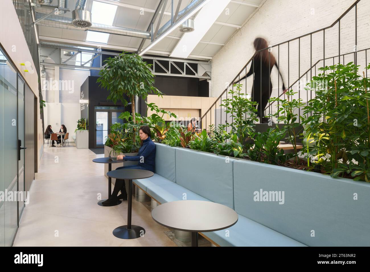 Elegant coworking office in Madrid Spain features indoor greenery sleek ...