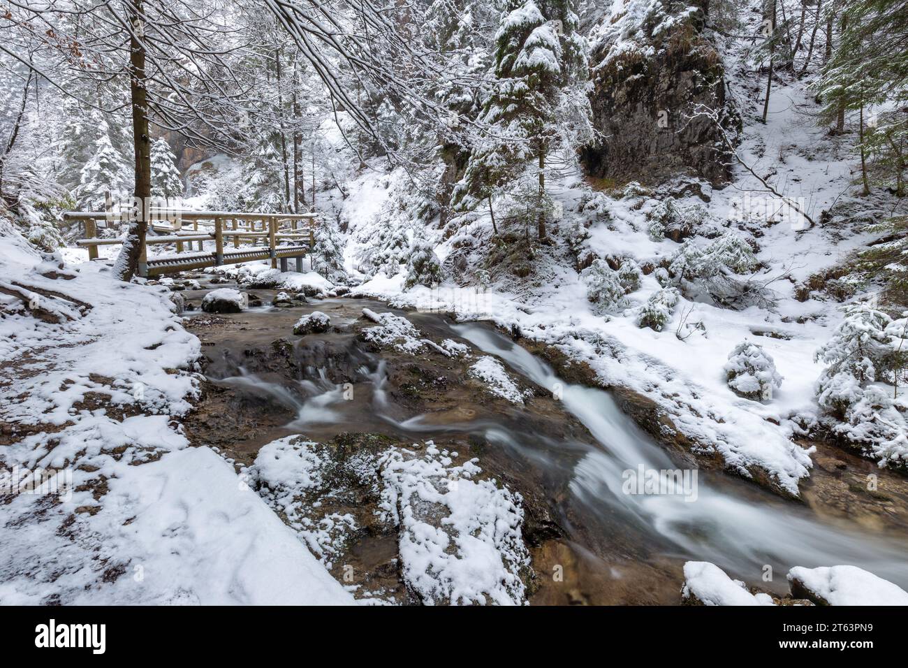 Winter landscape with a wild stream and waterfalls through a narrow ...