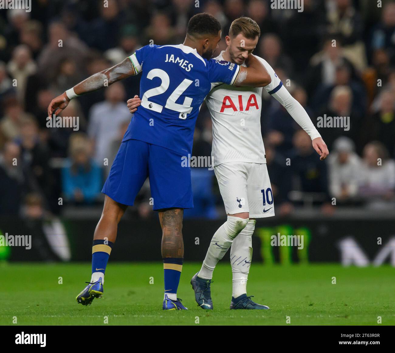 London, UK. 06 Nov 2023 - Tottenham Hotspur v Chelsea - Premier League ...