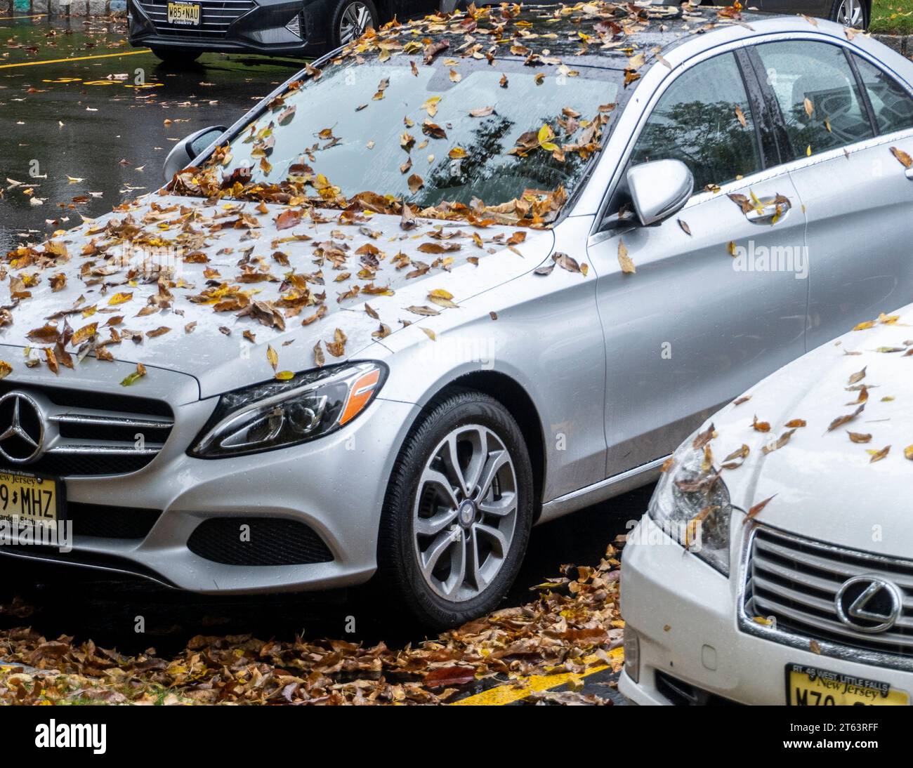 Autumn leaves falling on a car Stock Photo - Alamy