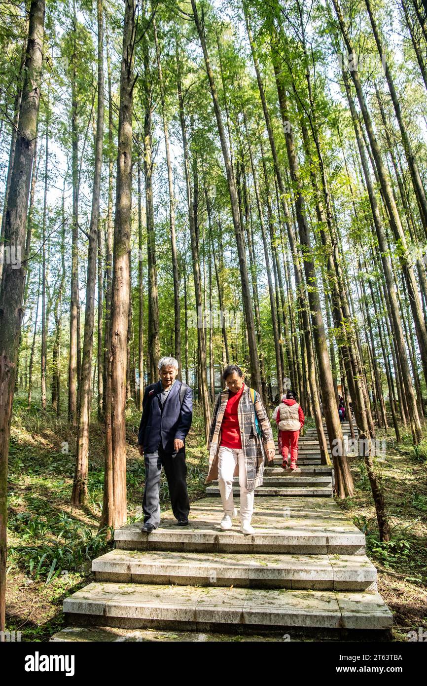 Chongqing. 7th Nov, 2023. Tourists visit Shanwangping scenic spot along ...