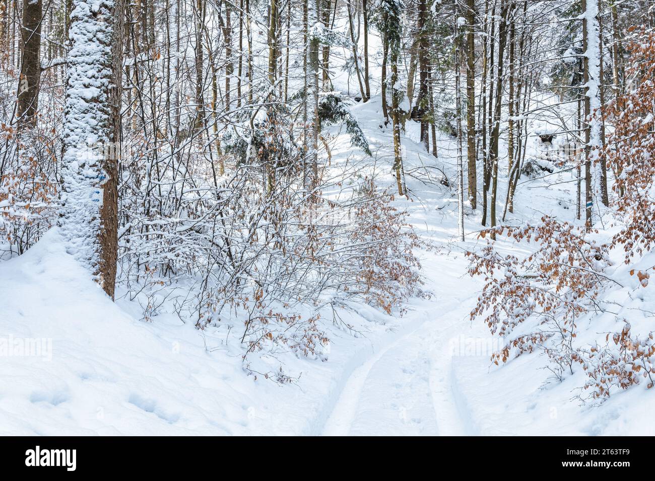 Frost trail hi-res stock photography and images - Alamy