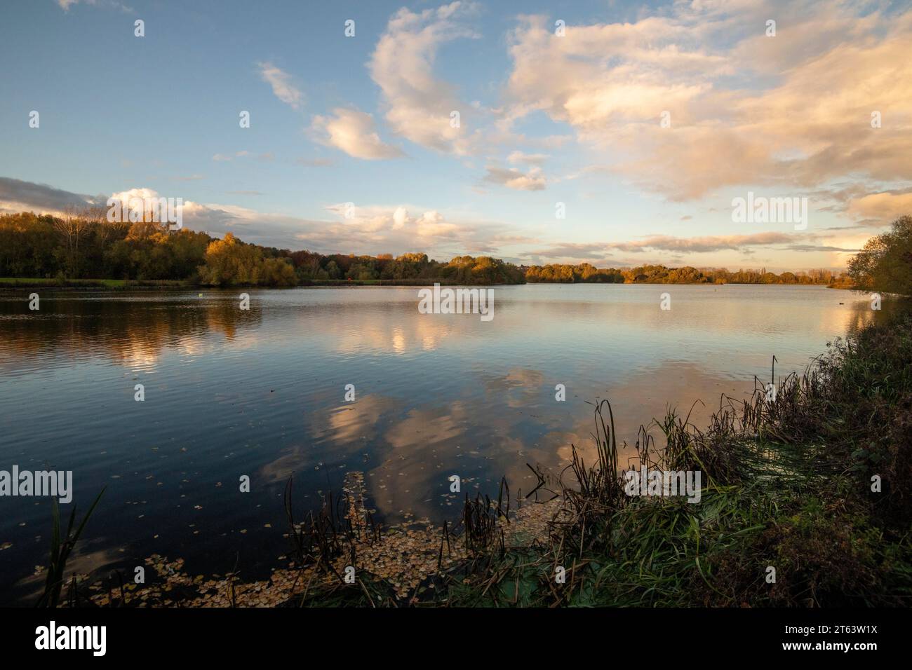Sunset at Colwick Country Park in Nottingham, Nottinghamshire England ...