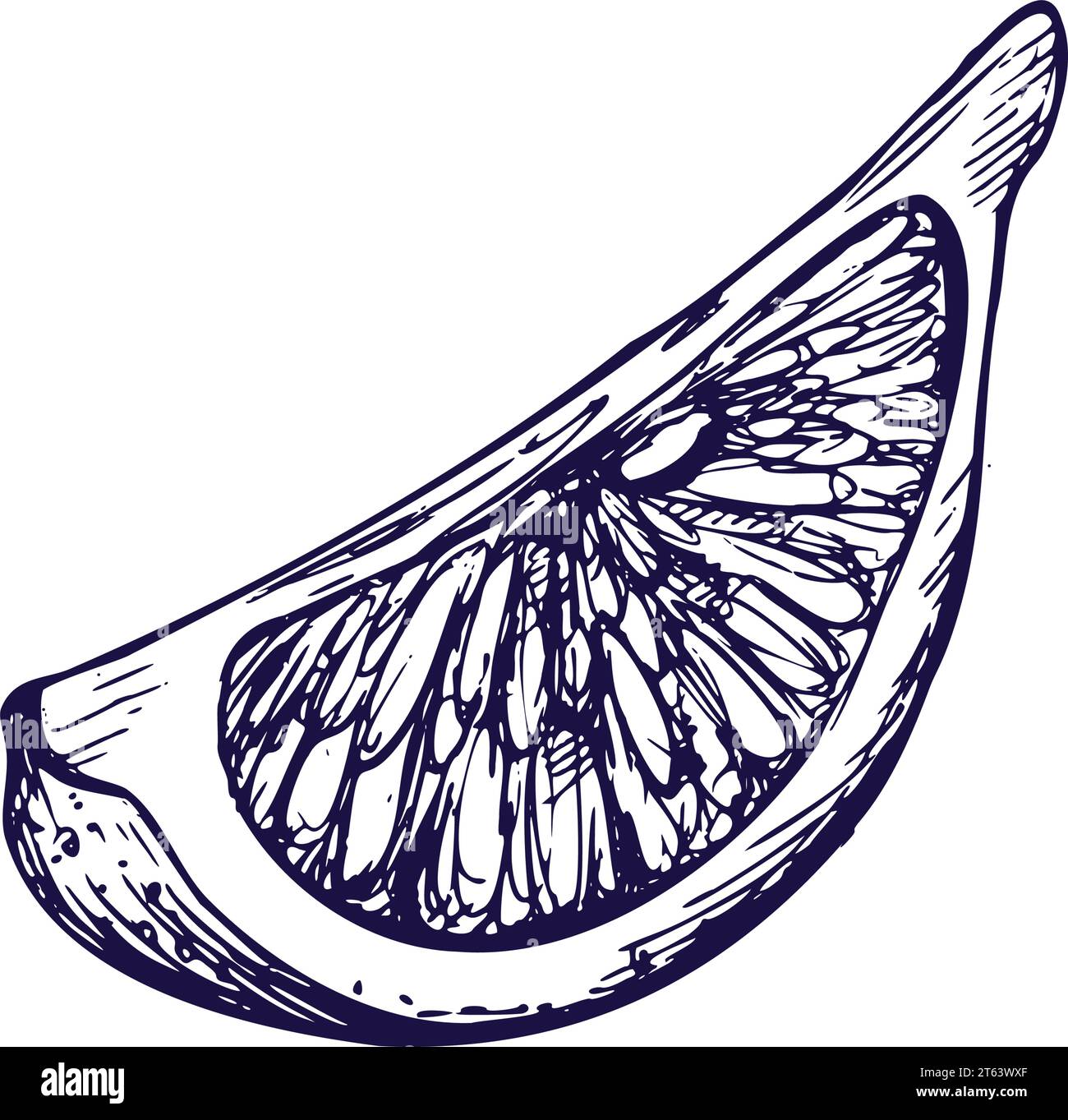 Hand seeds illustration Stock Vector Images - Alamy