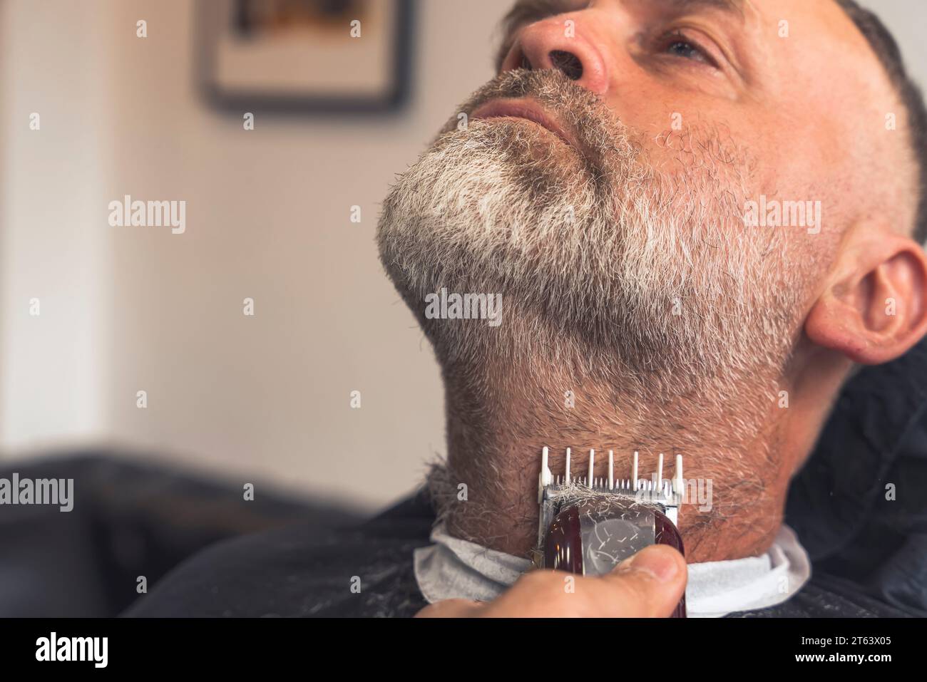 Barber shaving man in barbershop hi-res stock photography and images ... Barber shaving man in barbershop hi-res stock photography and images ...
