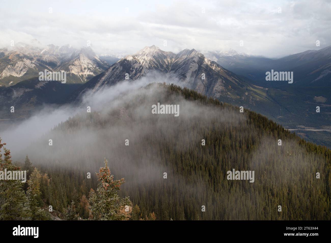 Views form the summit of Sulphur Mountain, Banff National Park, Alberta, Canada Stock Photo - Alamy