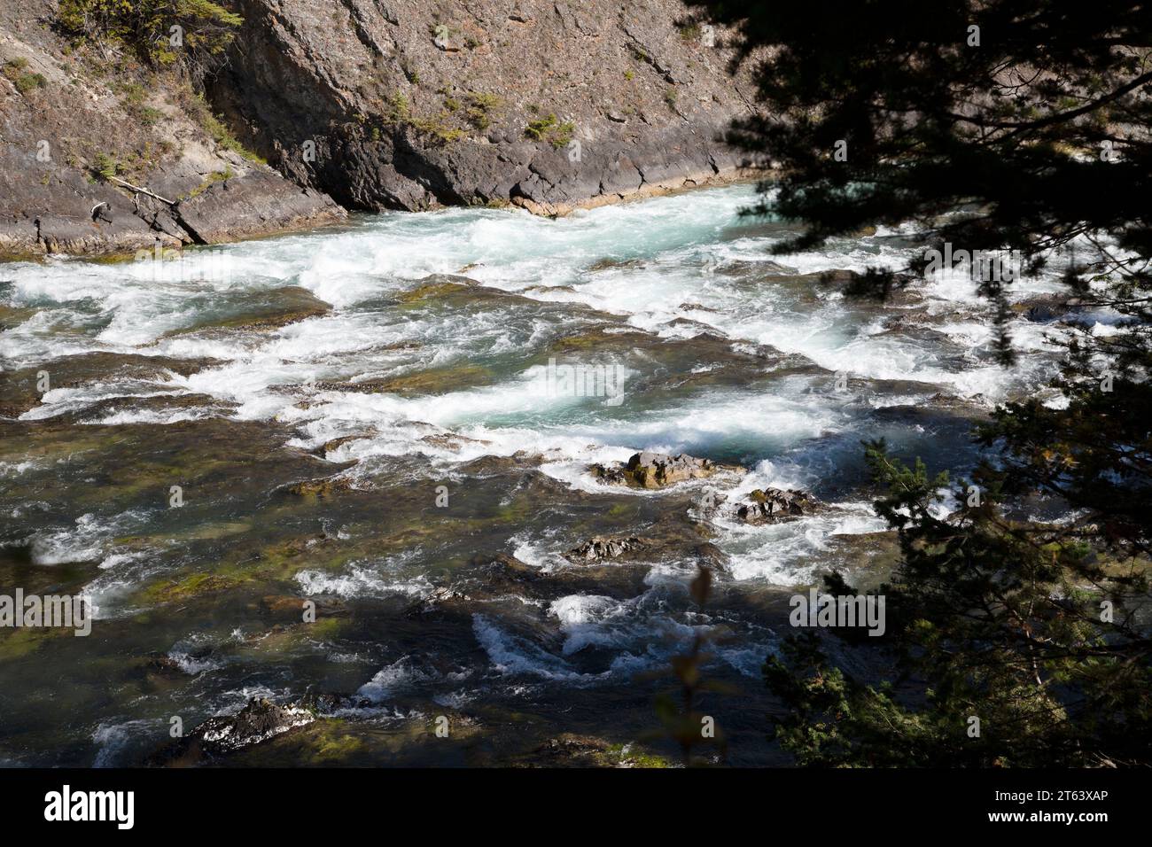 Bow Falls, The Bow River, Banff National Park, Alberta, Canada Stock ...